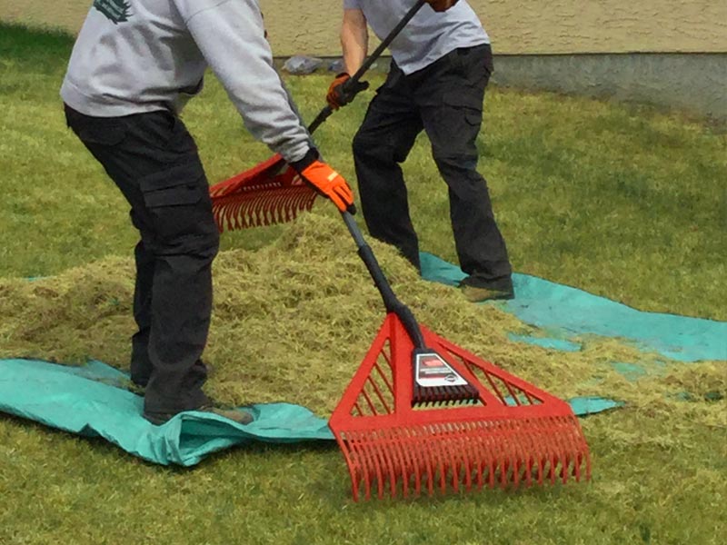 Spring and Fall Clean-Up – Angelo's Lawn & Maintenance Ltd.
